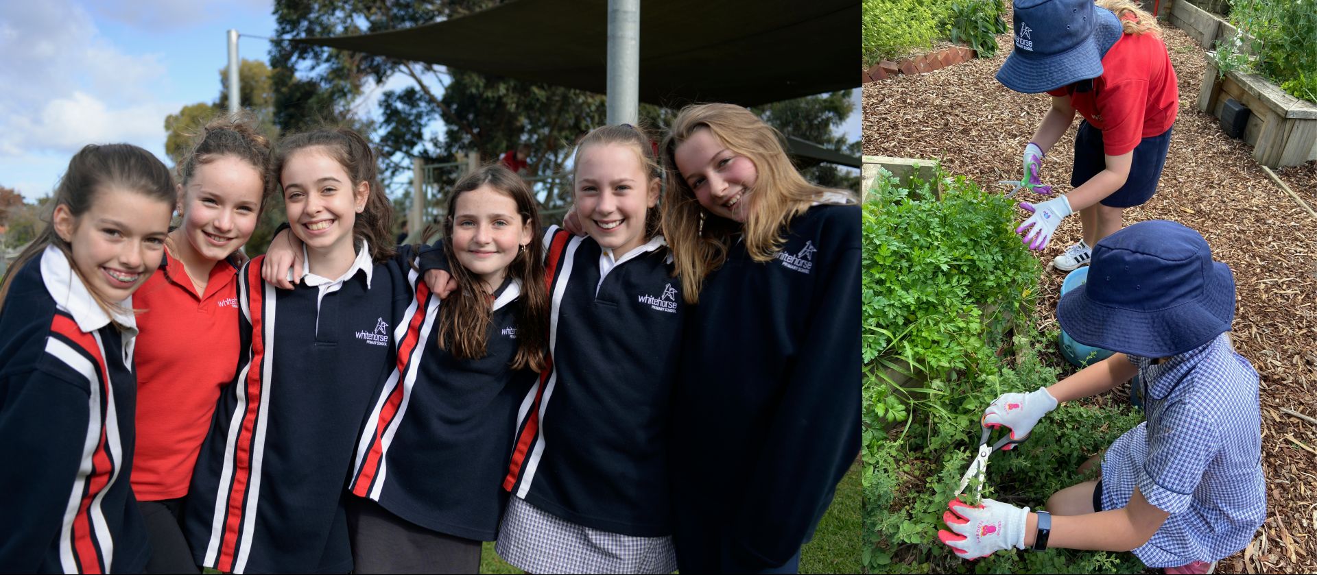 Whitehorse Primary School